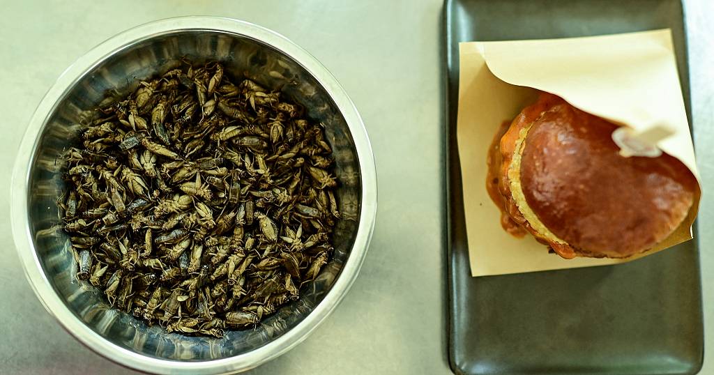 Bangkok's food pop-up introduces crickets on the menu » Africa Global ...
