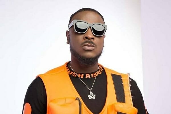 Reactions As Singer Peruzzi Reveals 2023 Resolution » Africa Global Village